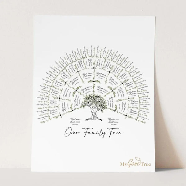 olive-family-tree-large-mygenetree