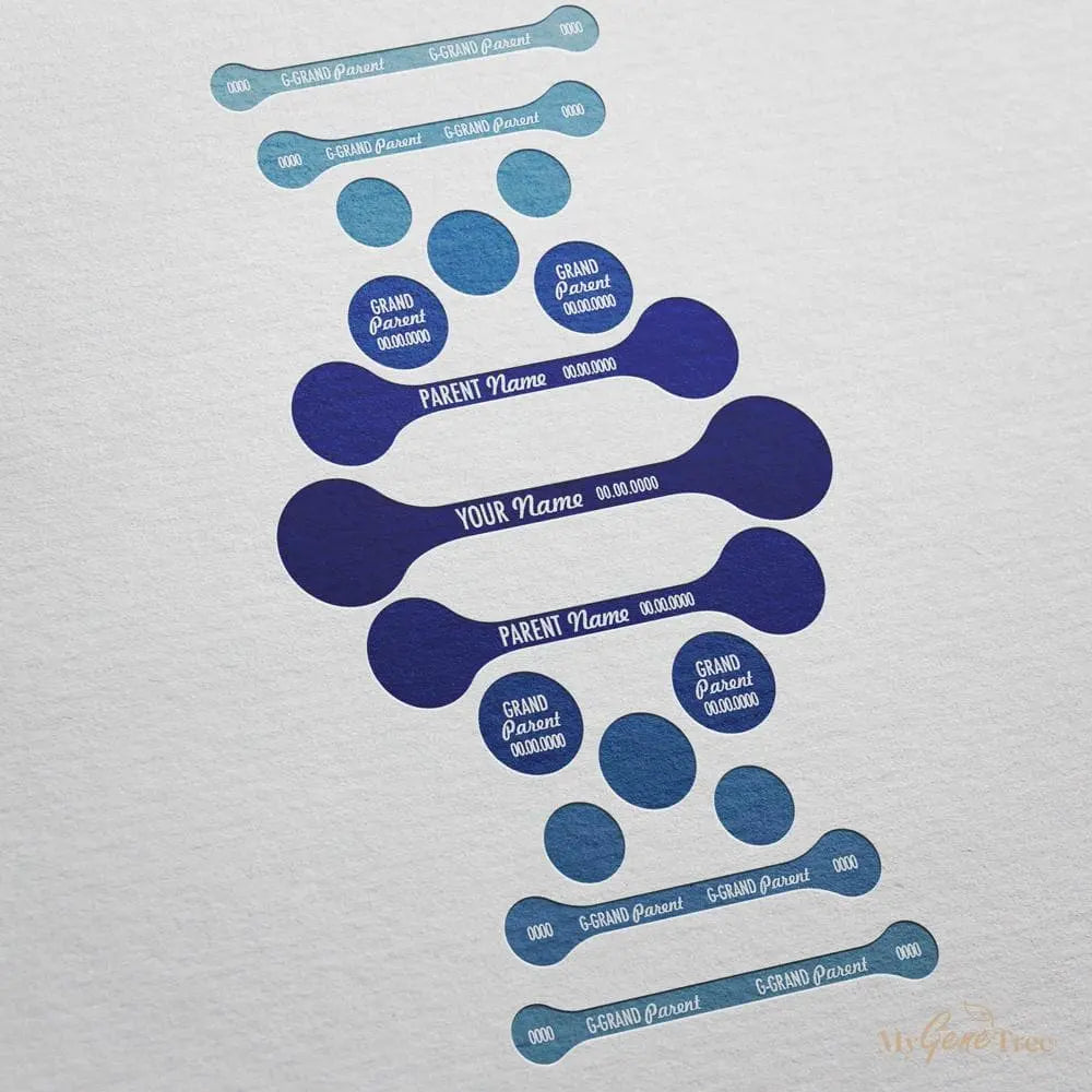 DNA Denim Family Tree Customized - MyGeneTree