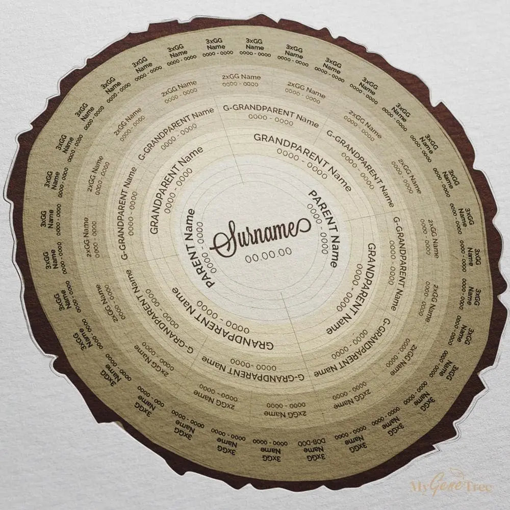 Family Tree Stump Coffee Customized - MyGeneTree