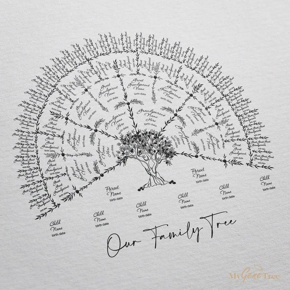 'Limited Edition' Olive Family Tree Black - MyGeneTree