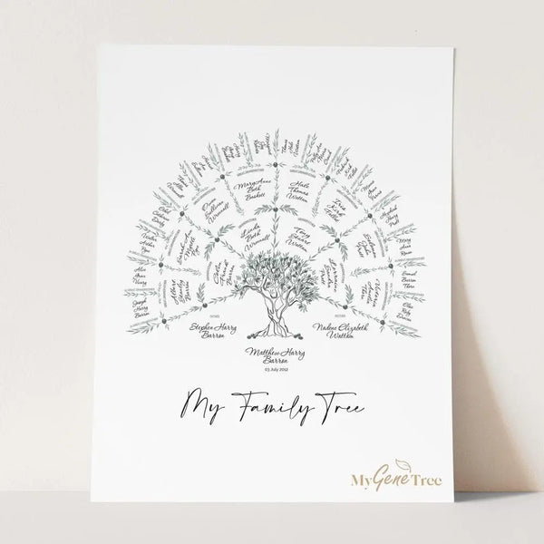 My Olive Family Tree - MyGeneTree