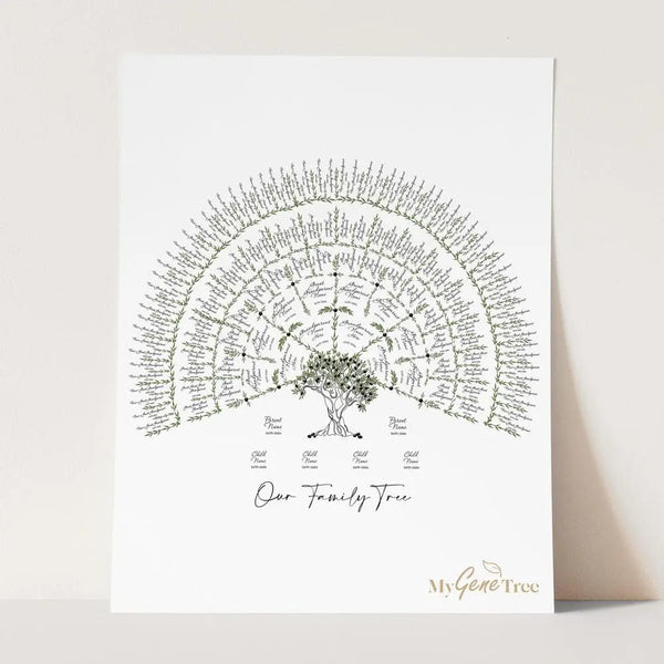 Olive Family Tree 7 Generations - Digital Family Tree Template – MyGeneTree
