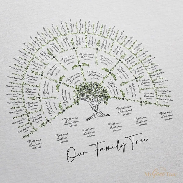 olive-family-tree-large-mygenetree