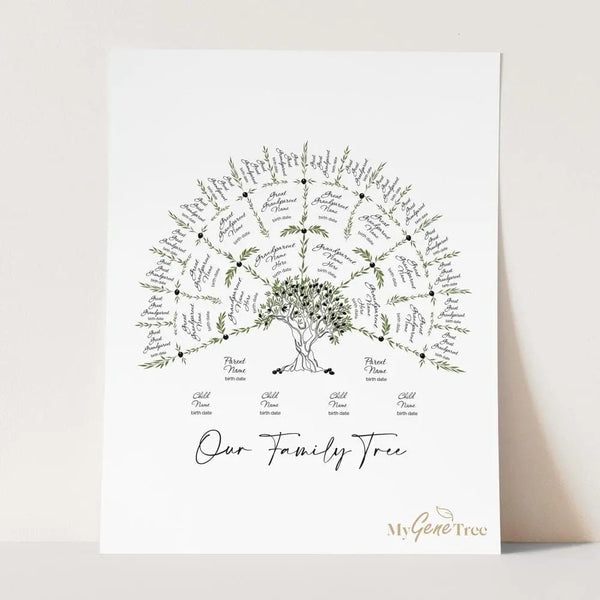 Olive Family Tree Medium - MyGeneTree