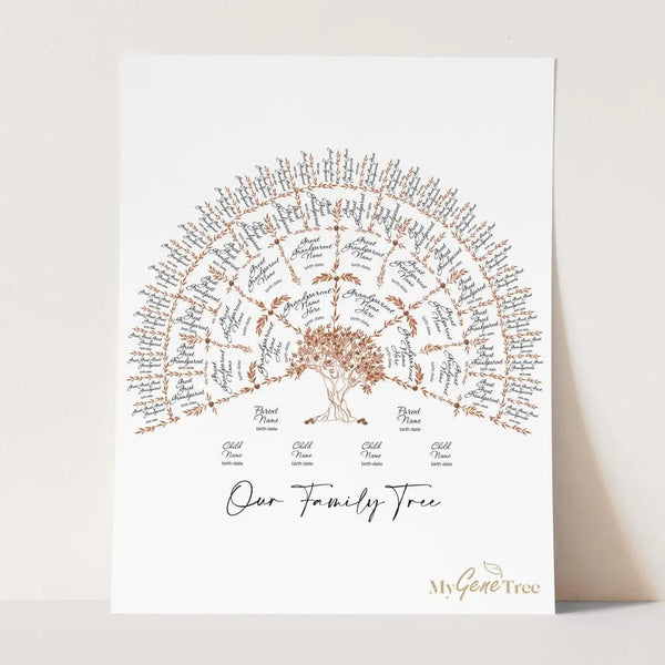 Olive Family Tree Terracotta - MyGeneTree